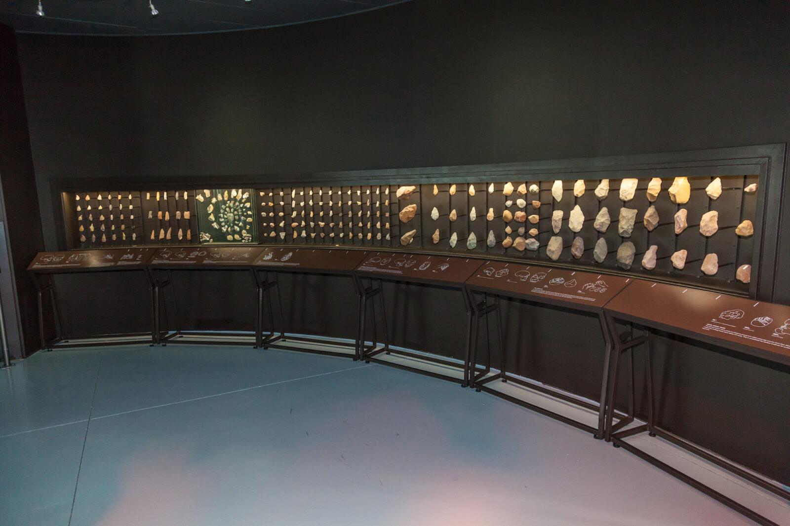 Origins Centre displays by MGG and DWR - DWR Distribution